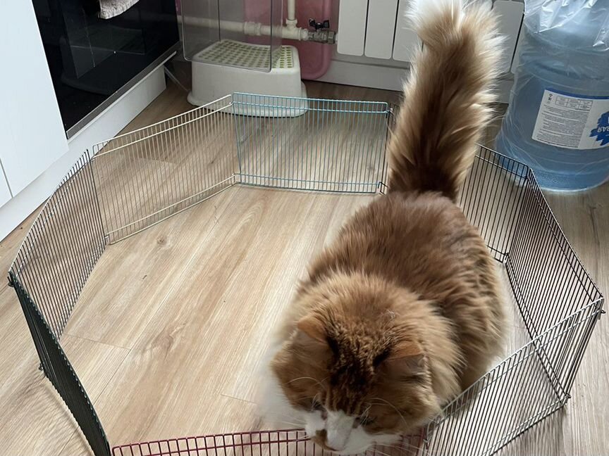 Вольер для грызунов