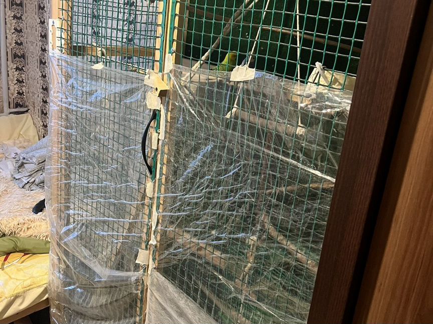 Волнистый попугай с клеткой