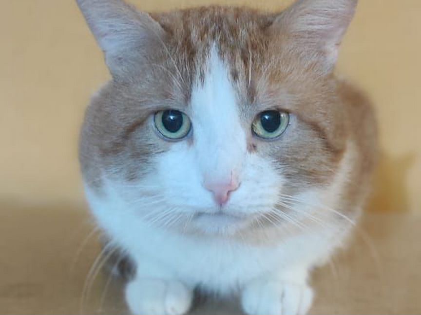 Марик - мужчина что надо