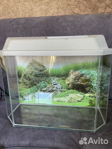 Аквариум+декор+фильтр бронь