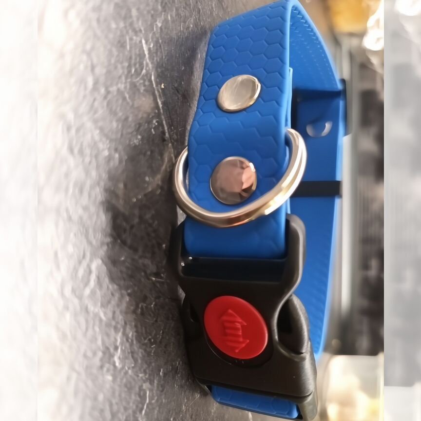 Ошейник для собак