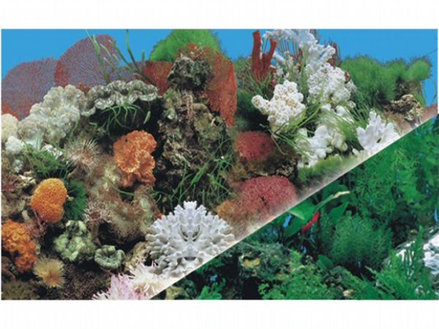 90019003 Фон 0,4*15 кораллпреснов