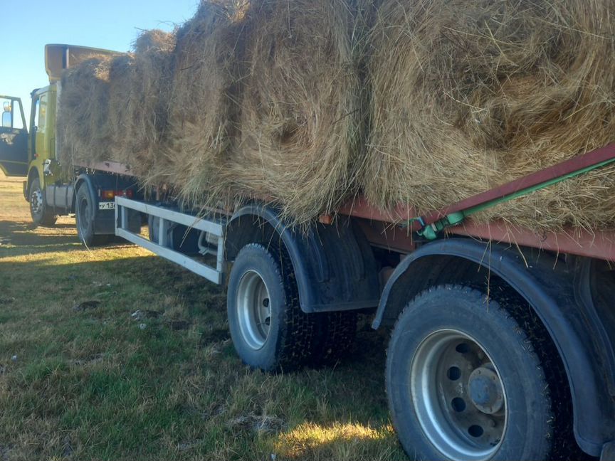 Продаётся сено,солома