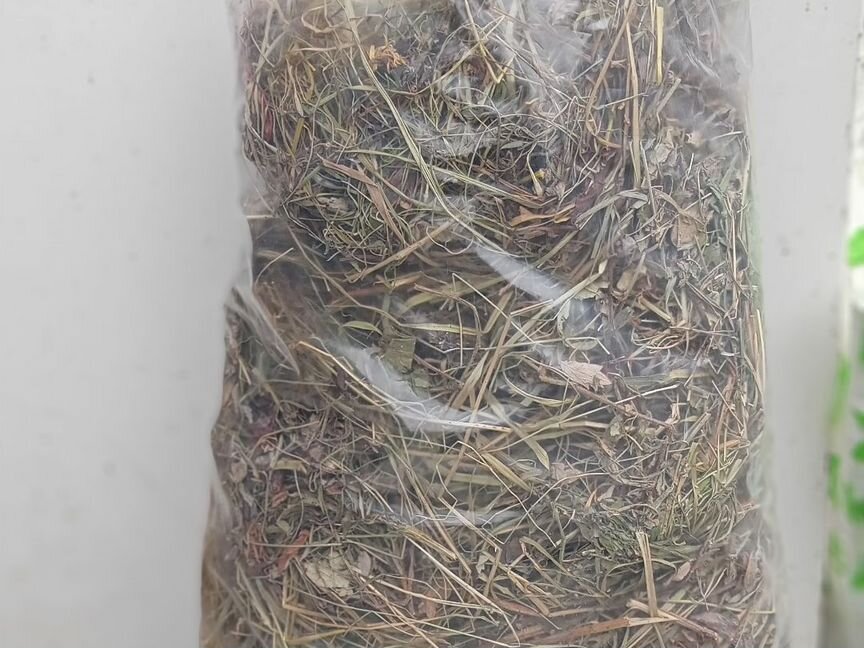 Сено для грызунов