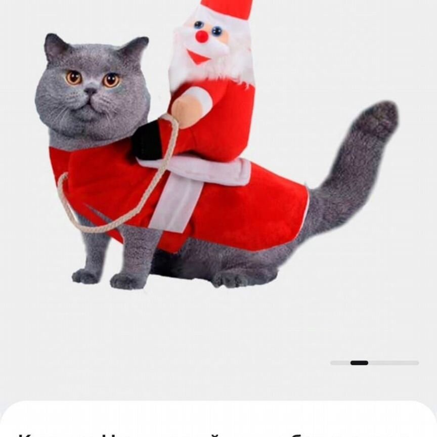 Новогодний костюм для собаки