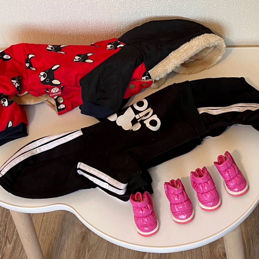 Одежда для собак мелких пород