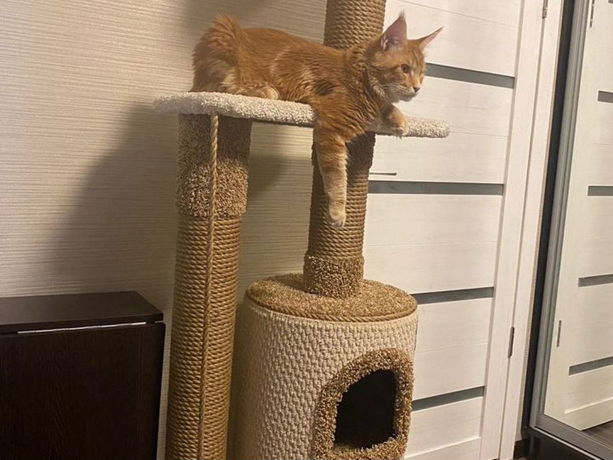 Домик - когтеточка, лежанка для котов(кошек) новый