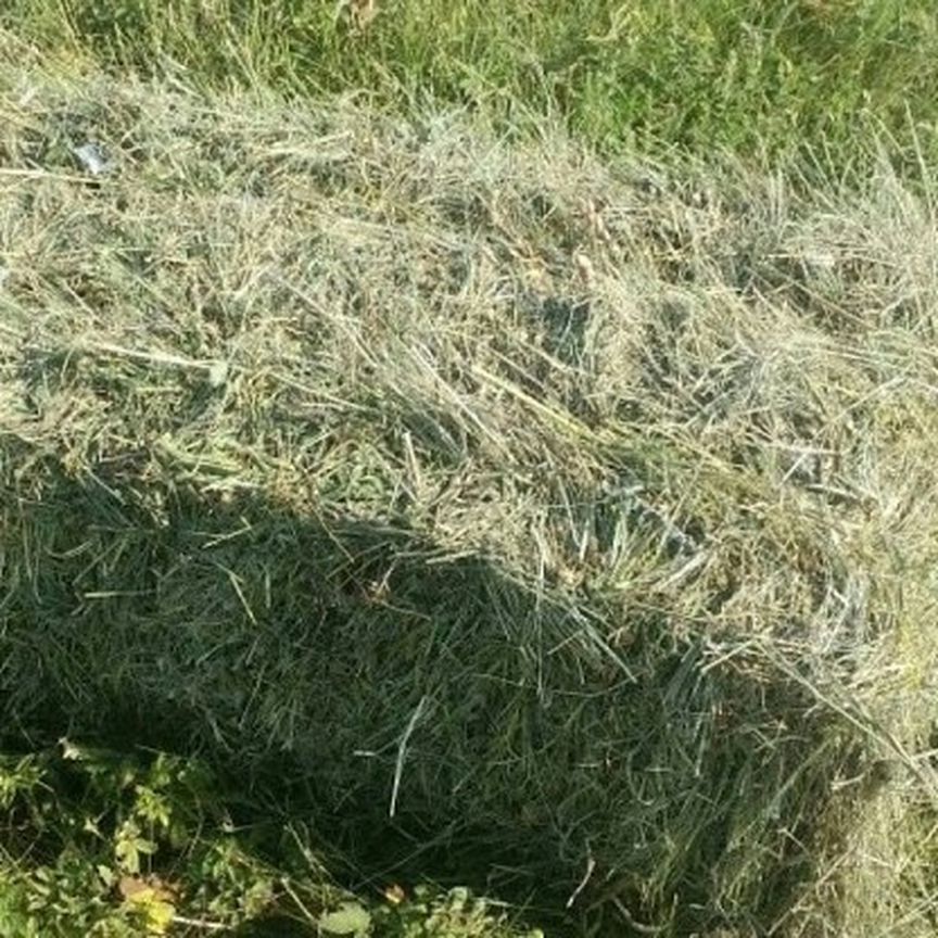 Продам сено, солому есть доставка