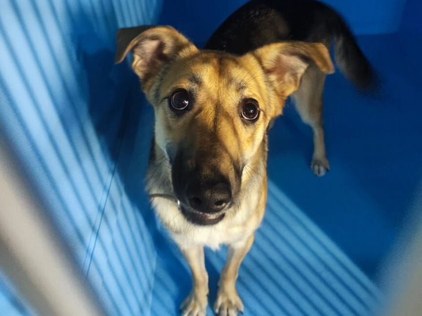 Заметьте её, пожалуйста. Очень нужна семья