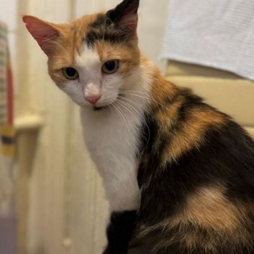 Жду вас родители