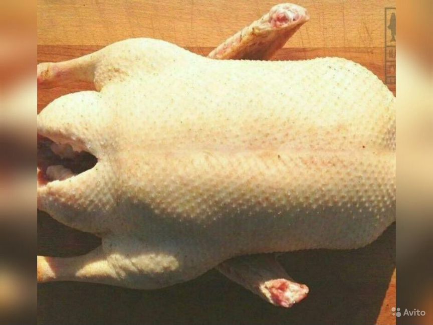 Тушка утки муларда