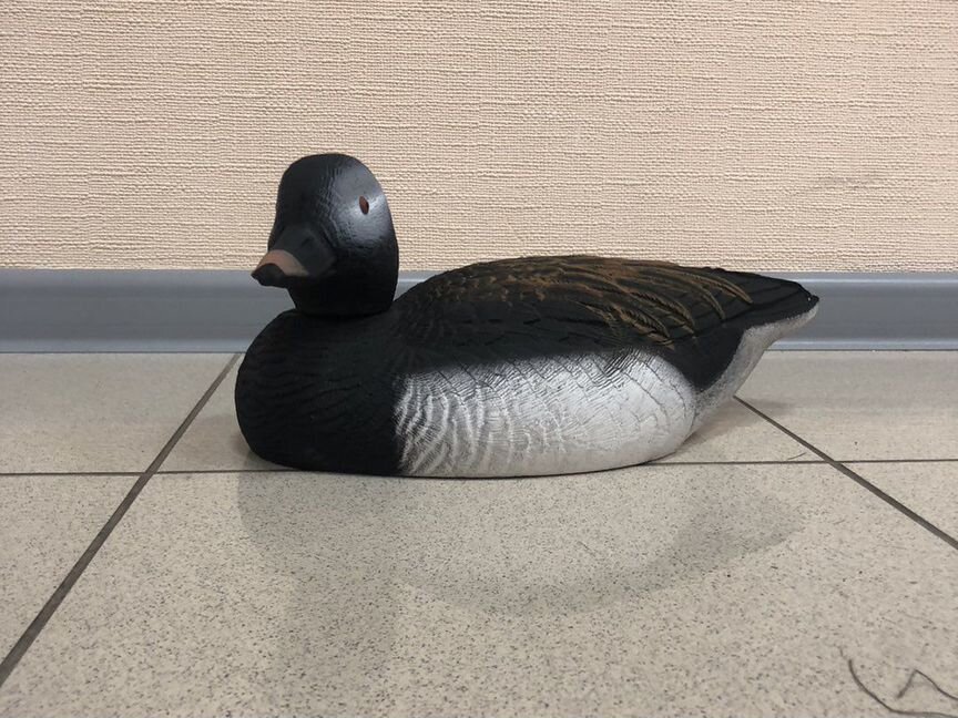 Морянка -селезнь (веснний окрас) ниже рынка