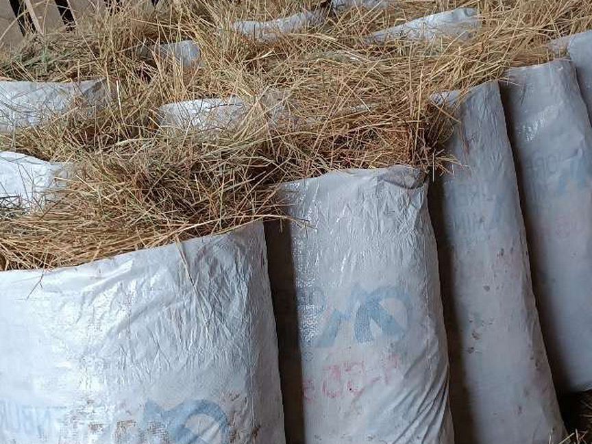 Сено сухое для подстилки