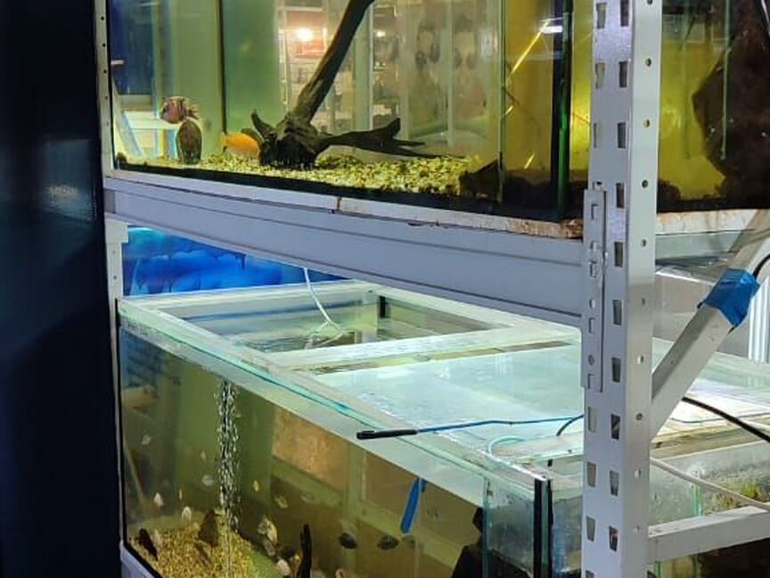 Стойка с аквариумами