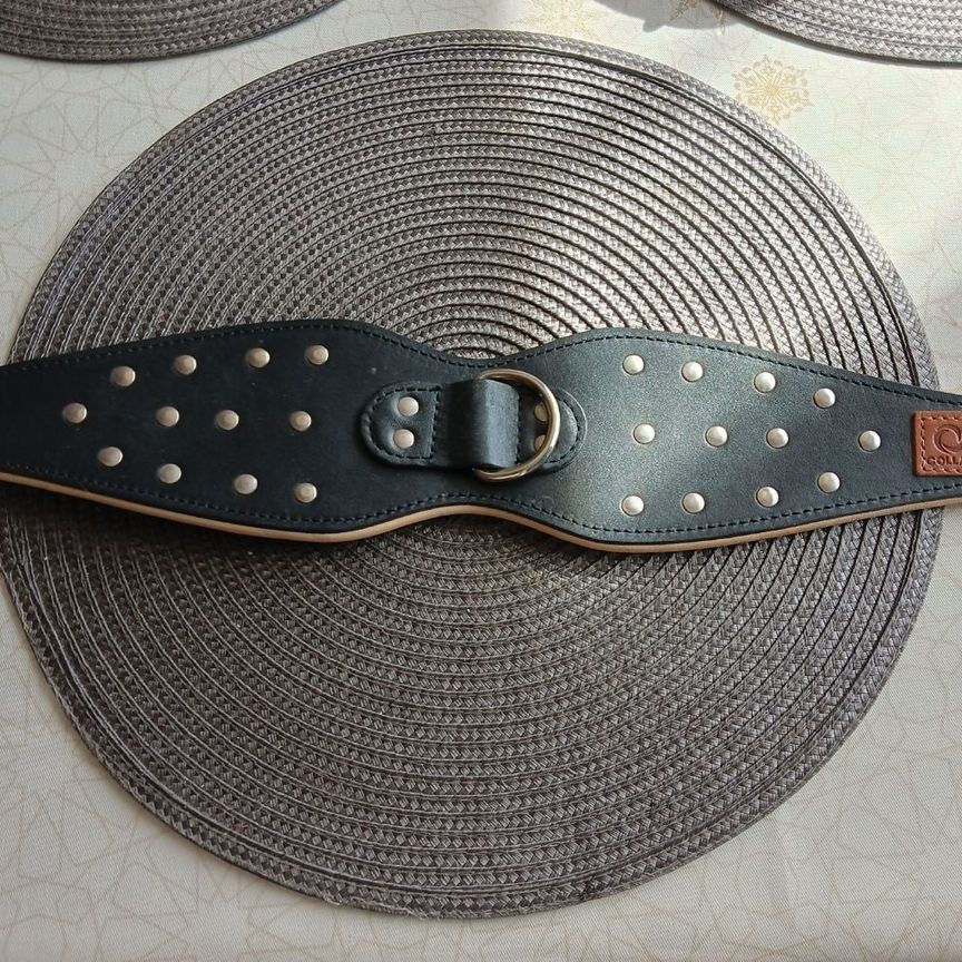 Ошейник для собак