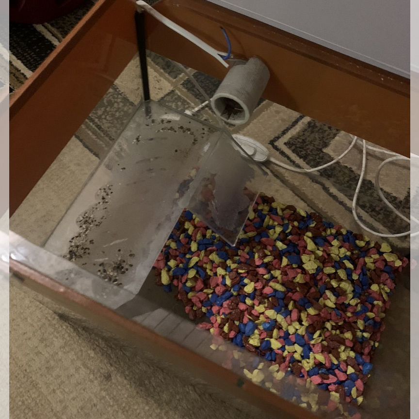 Аквариум для черепах