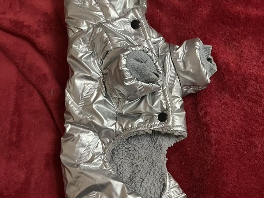 Вещи для маленьких собак