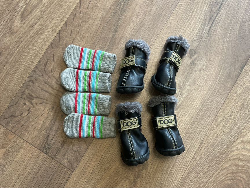Сапожки с носками для собаки