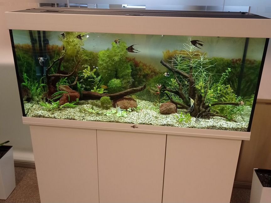 Аквариум Биодизайн риф 280 с тумбой