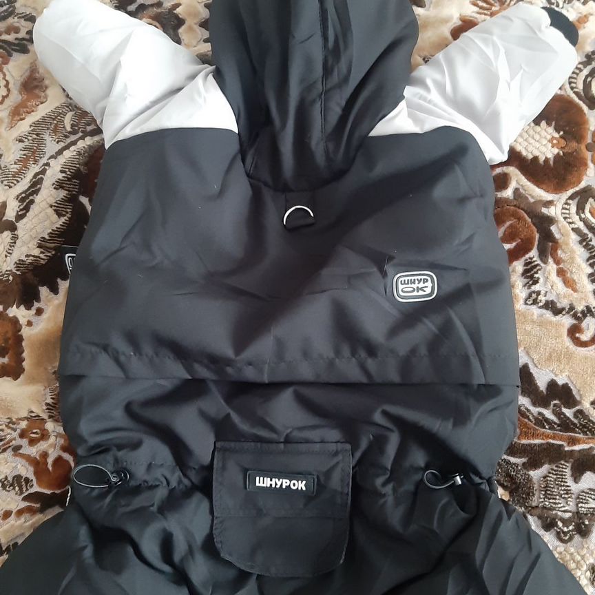 Одежда для собак