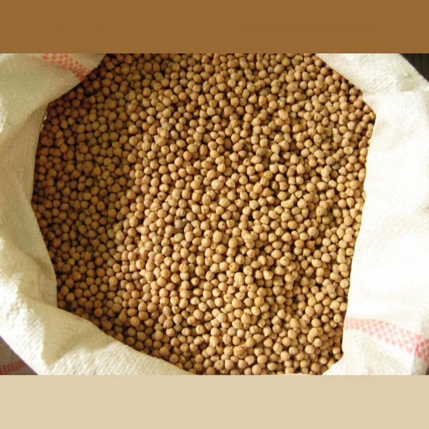 Горох кормовой