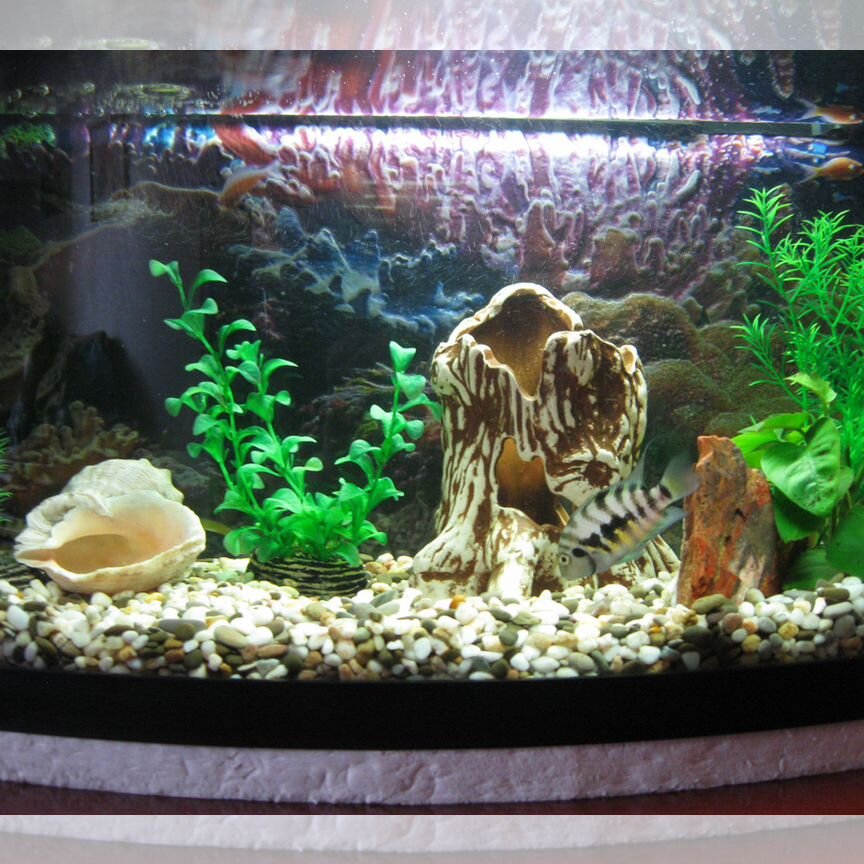 Aquael панорамный PAO 60 на 45л