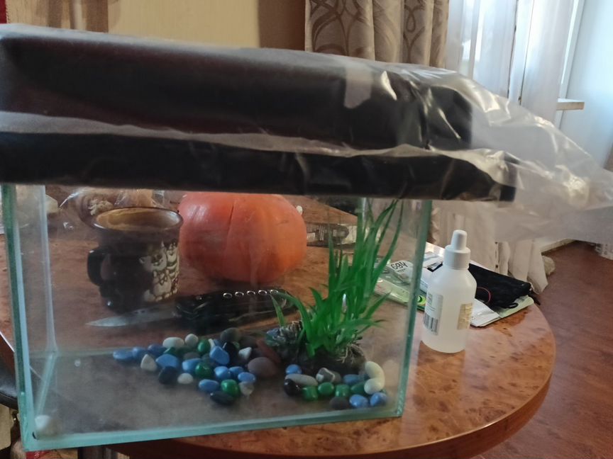 Аквариум, крышка для аквариума