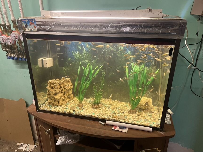 Аквариум с рыбками бу