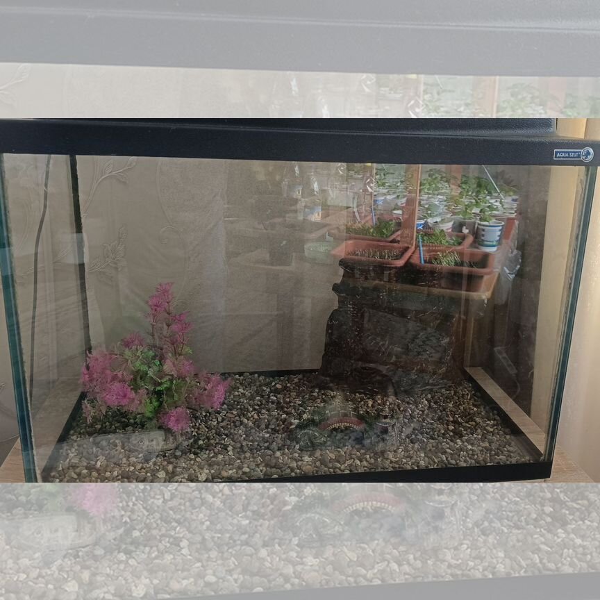 Аквариум