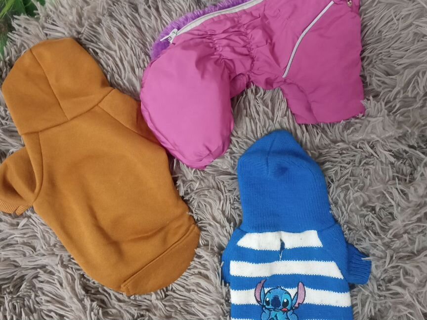 Одежда для собак