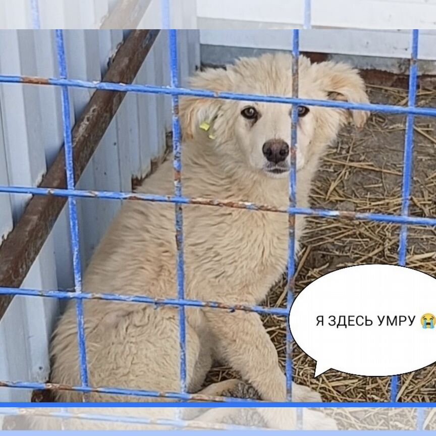 Малышка в беде в добрые руки