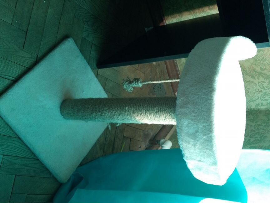 Когтеточка