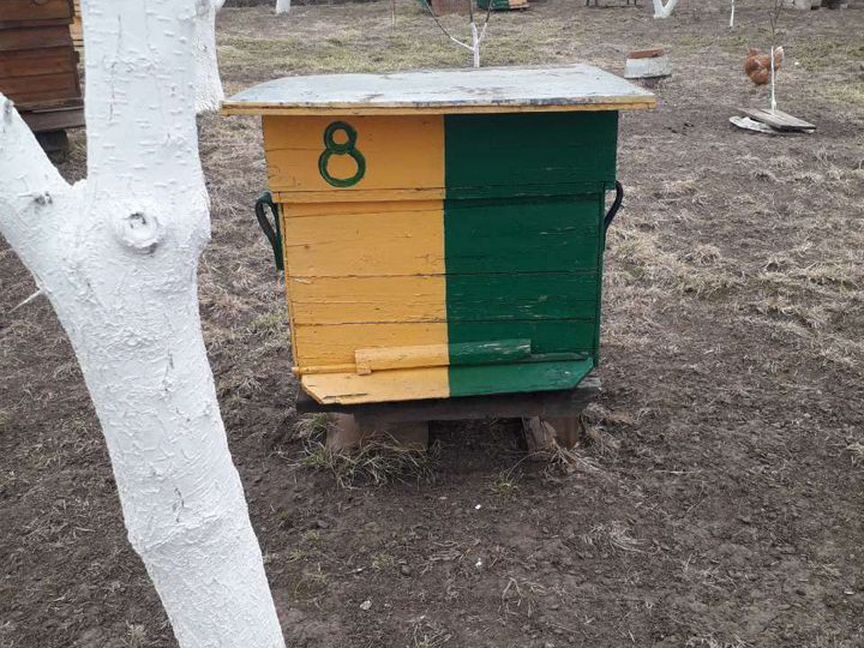 Улей для пчел