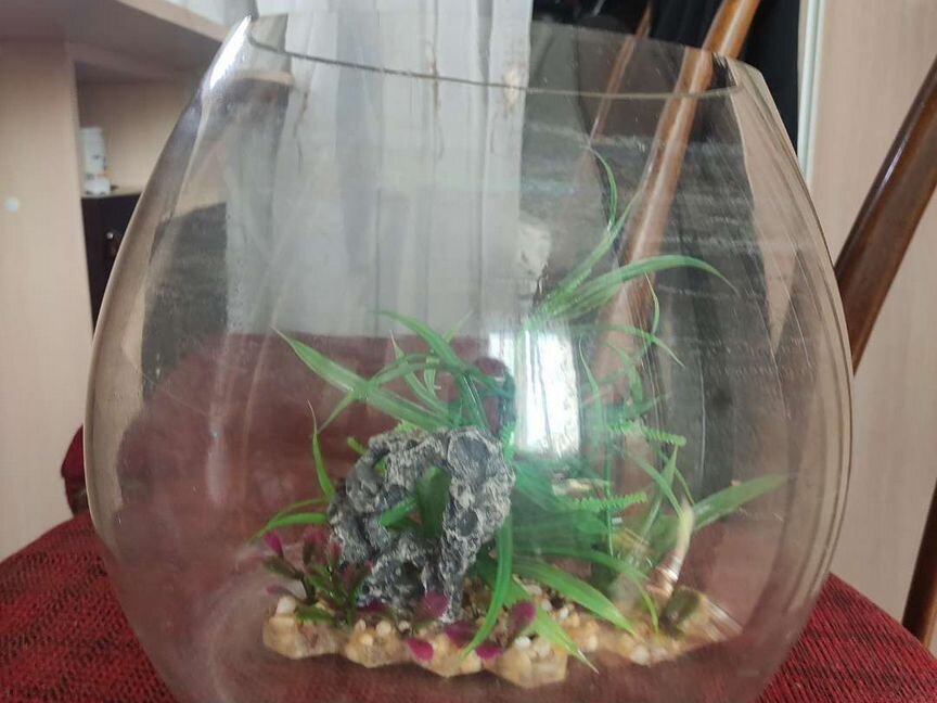 Аквариум для рыбак