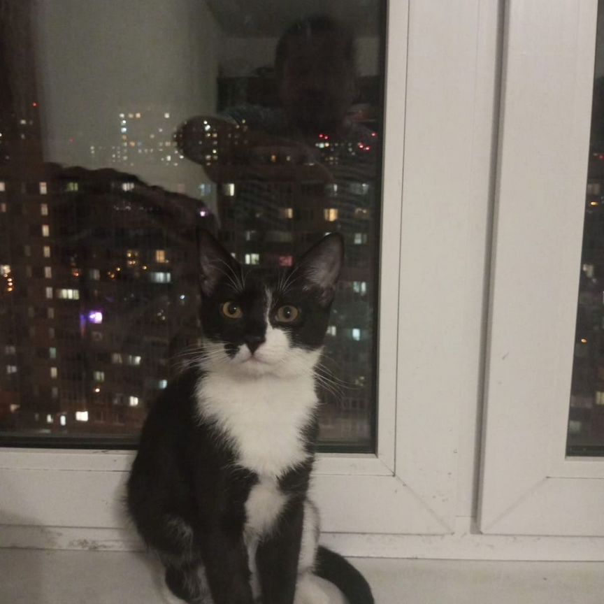 Мальчик 5 мес