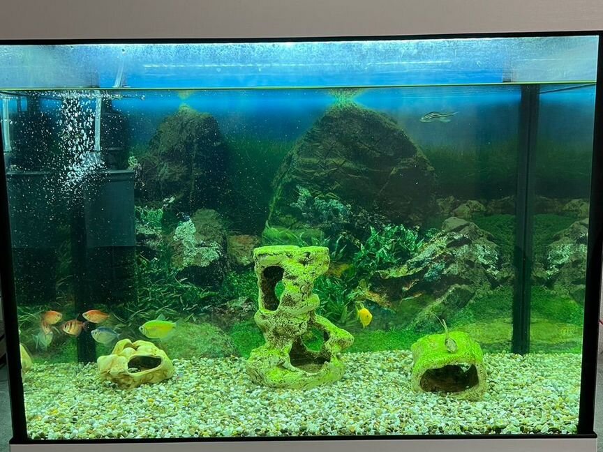 Аквариум 80 литров