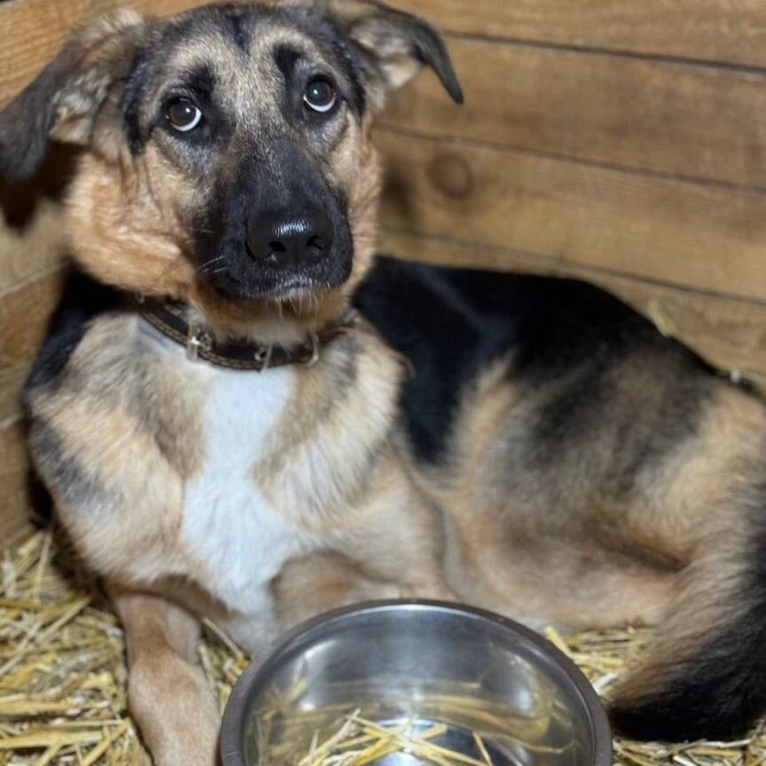Спасите пока не стало поздно