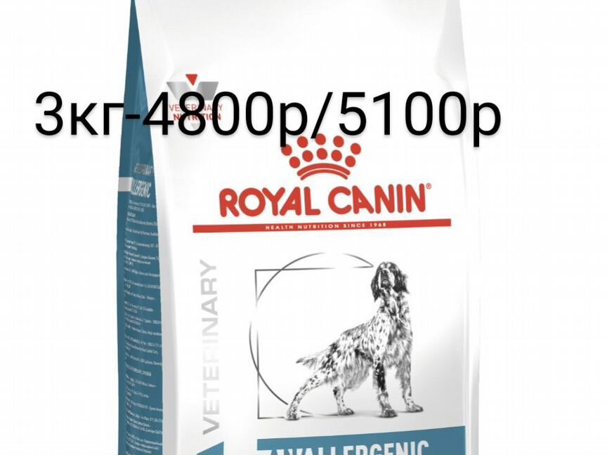 Royal canin anallergenic корм для собак