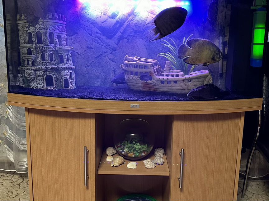 Аквариум с тумбой juwel 260 литров