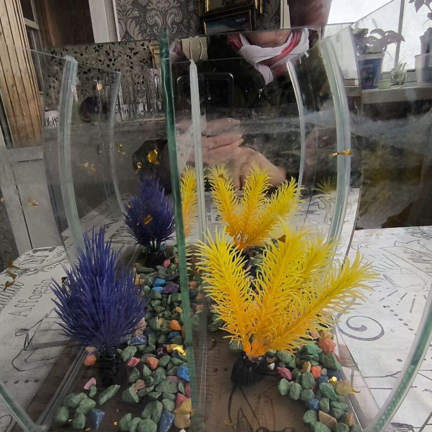 Аквариум фигурный 7л, двойной