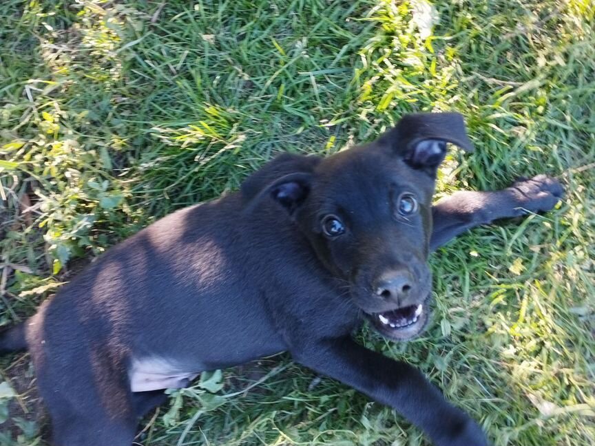 Максим ищет семью