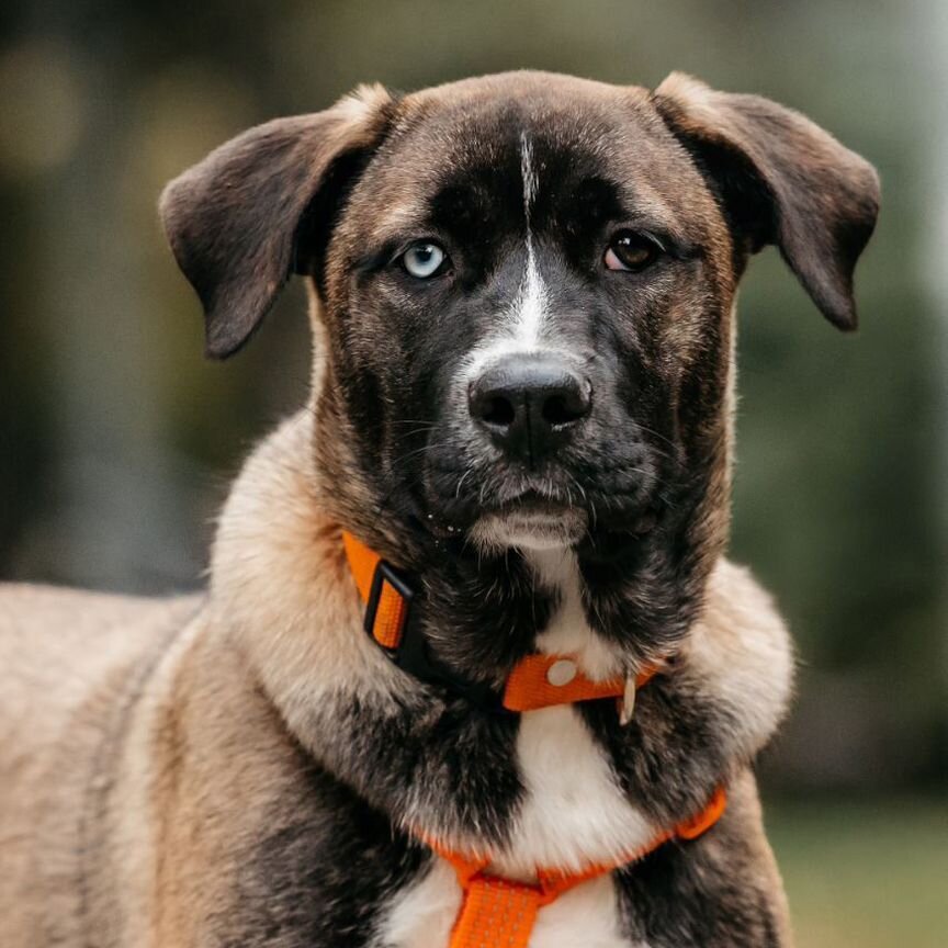 Молодая Тина в добрый руки