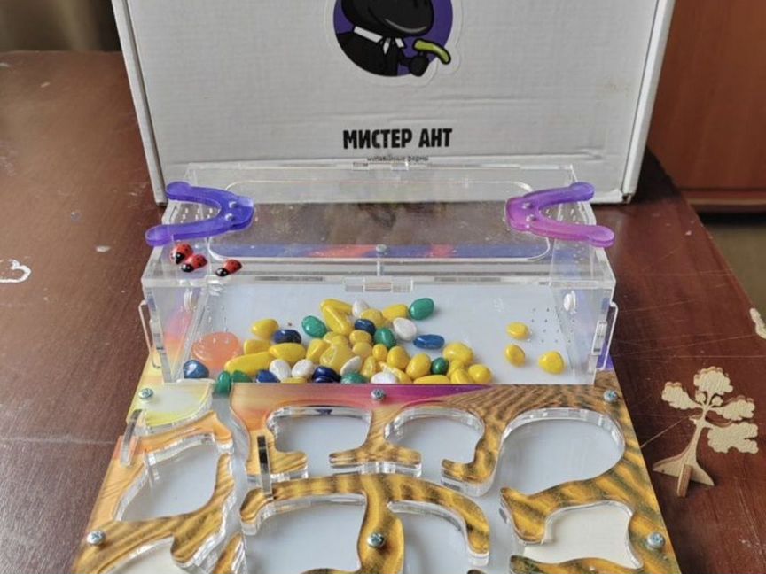 Формикарий