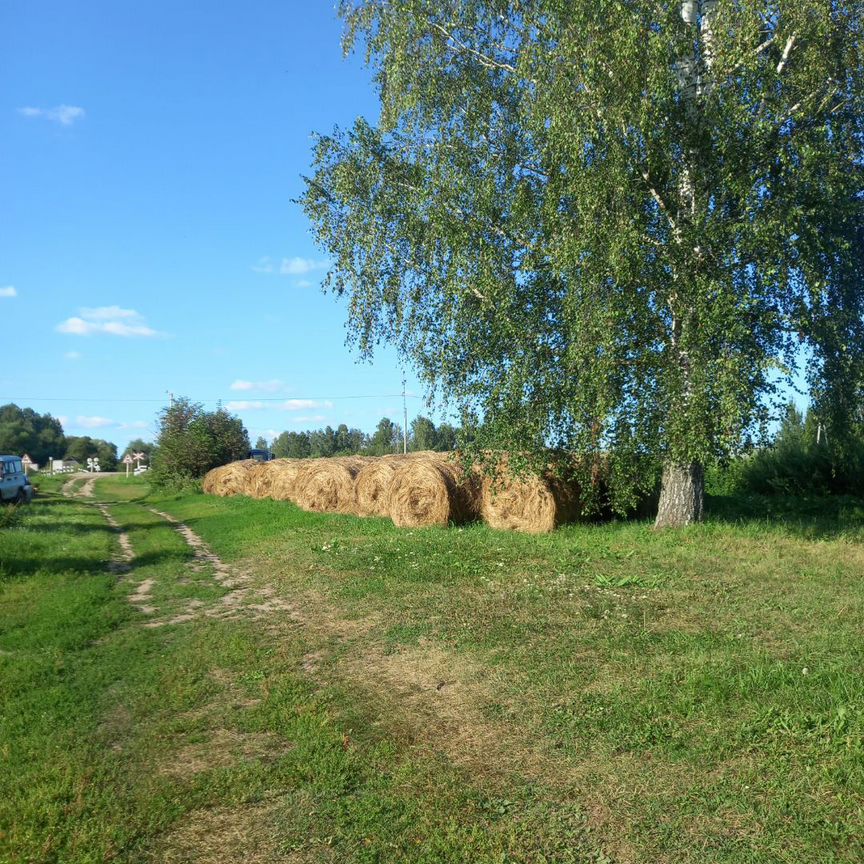 Сено в рулонах