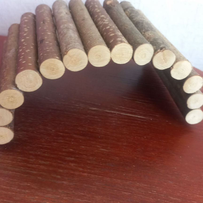 Мостик для мелких грызунов: хомяков и др