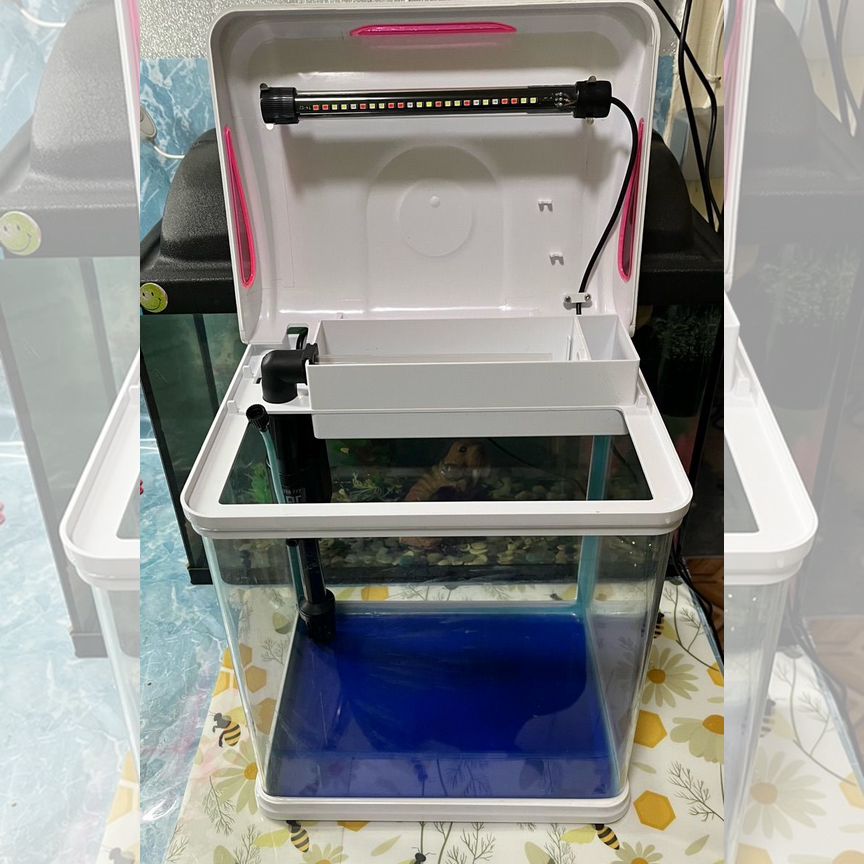 Аквариум для рыбок маленький