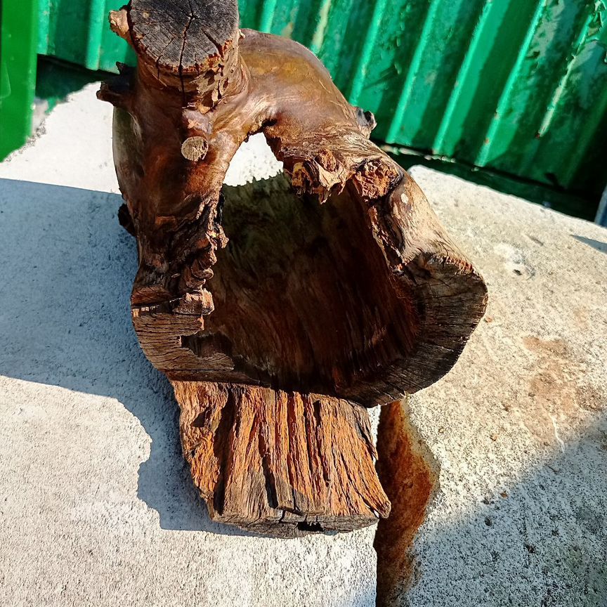 Коряги для аквариума