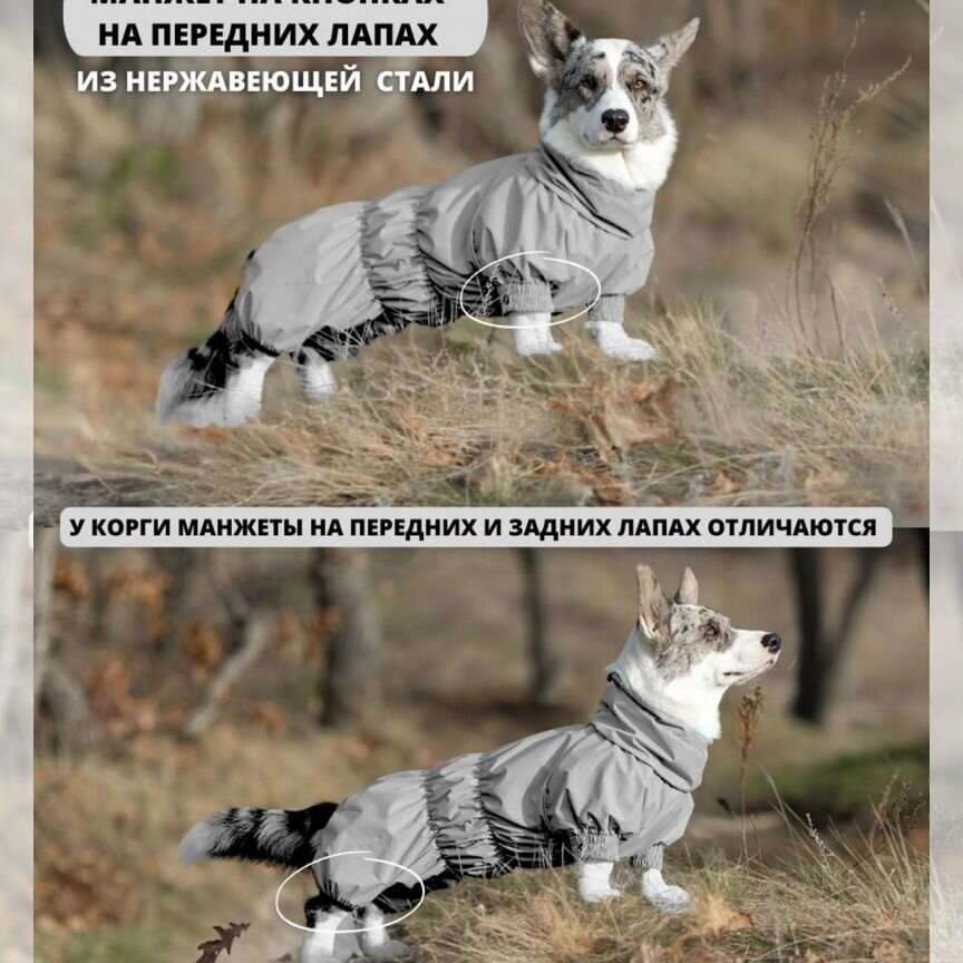 Дождевик с мембраной корги пемброк