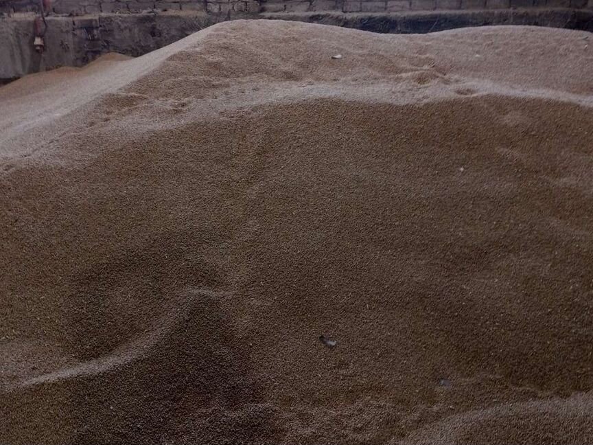 Зерно пшеница ячмень оптом