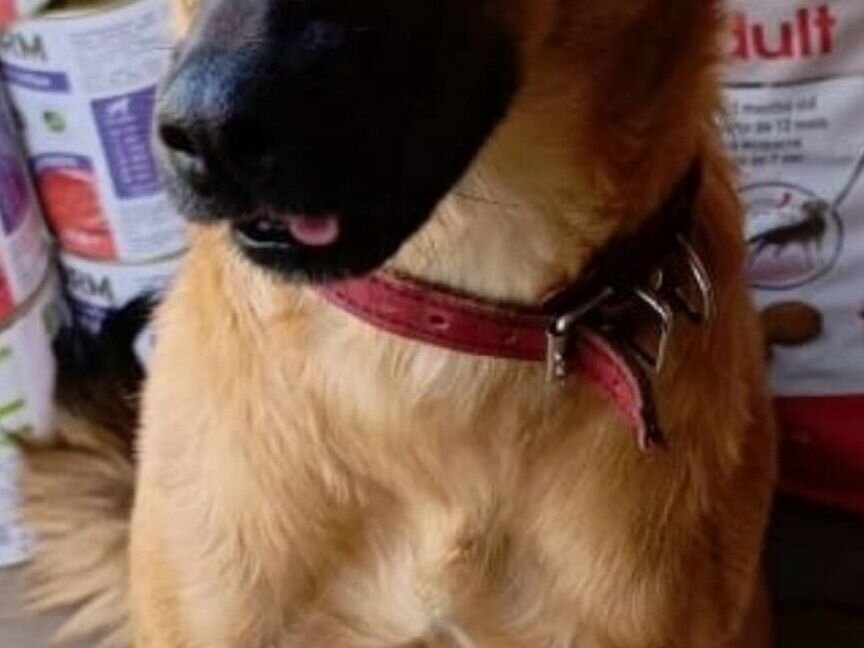 Малышка ждёт своего человека